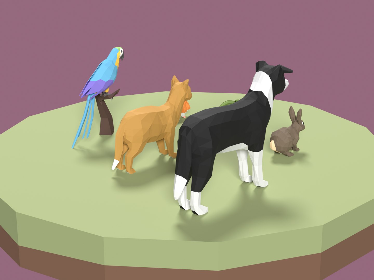 3D Lowpoly Stylized PET Animals Pack Model - TurboSquid 2189261