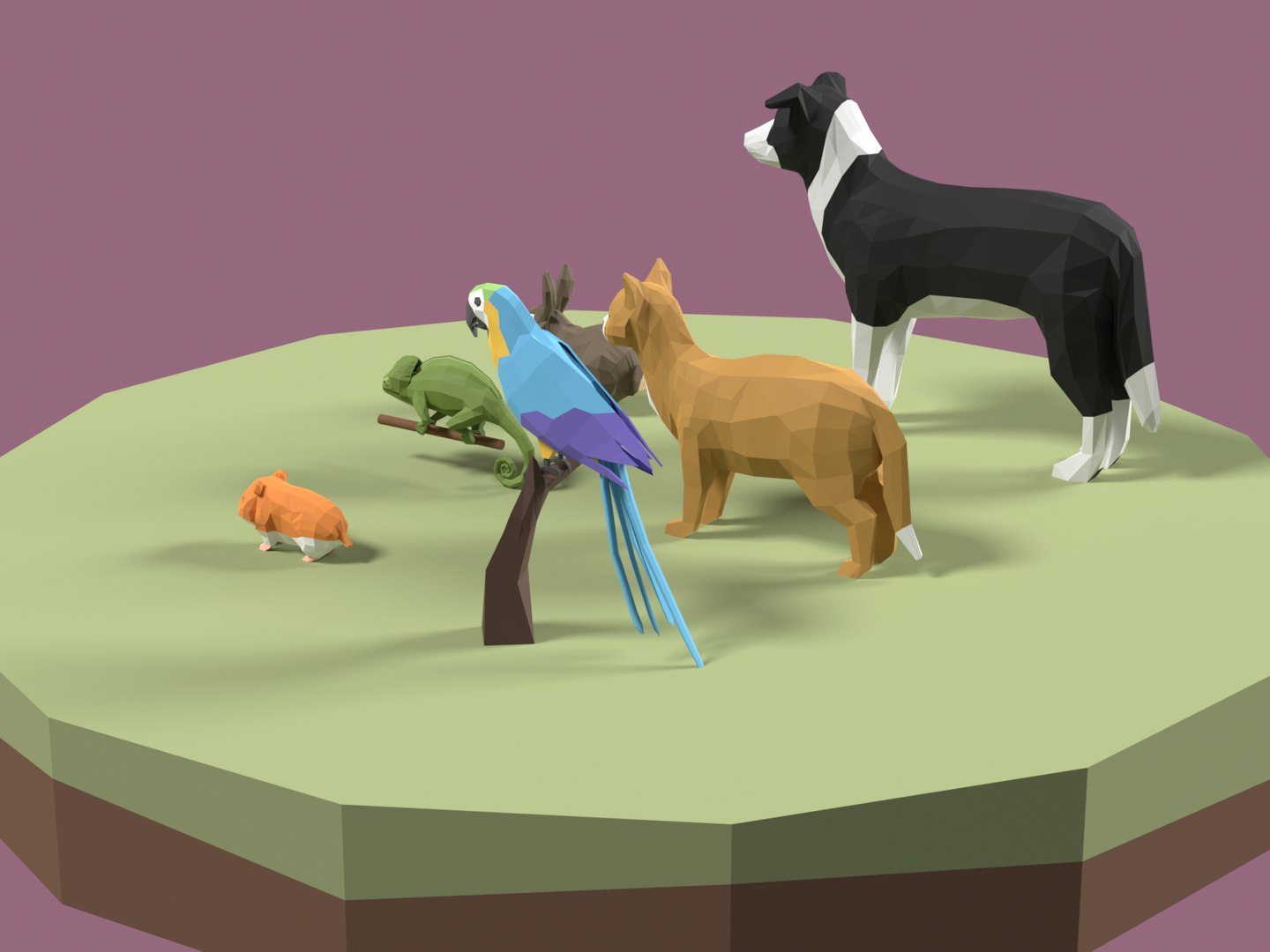 3D Lowpoly Stylized PET Animals Pack Model - TurboSquid 2189261