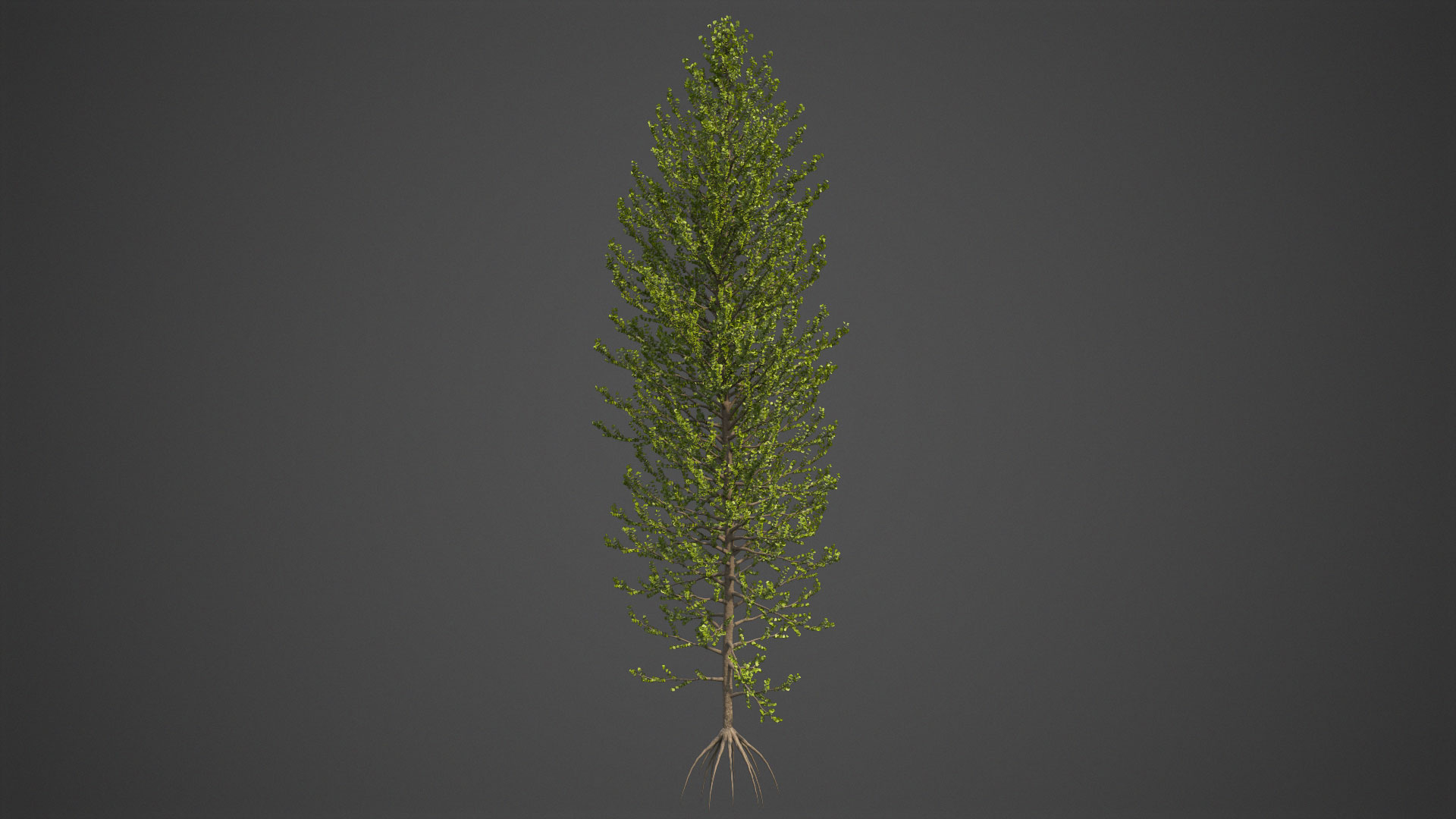 Tree 3D Model - TurboSquid 1677003