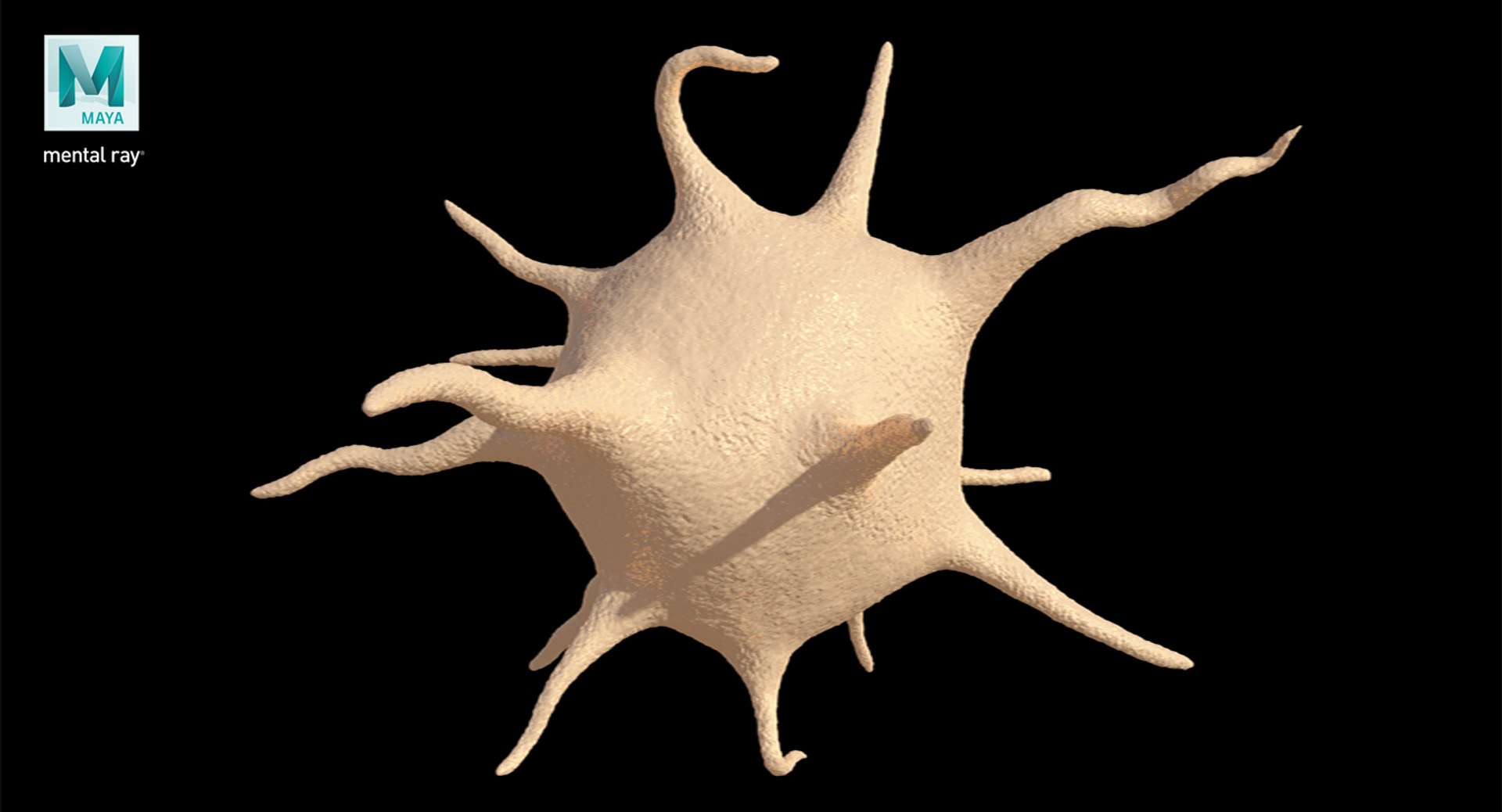 3D platelet thrombocyte 2 - TurboSquid 1396167