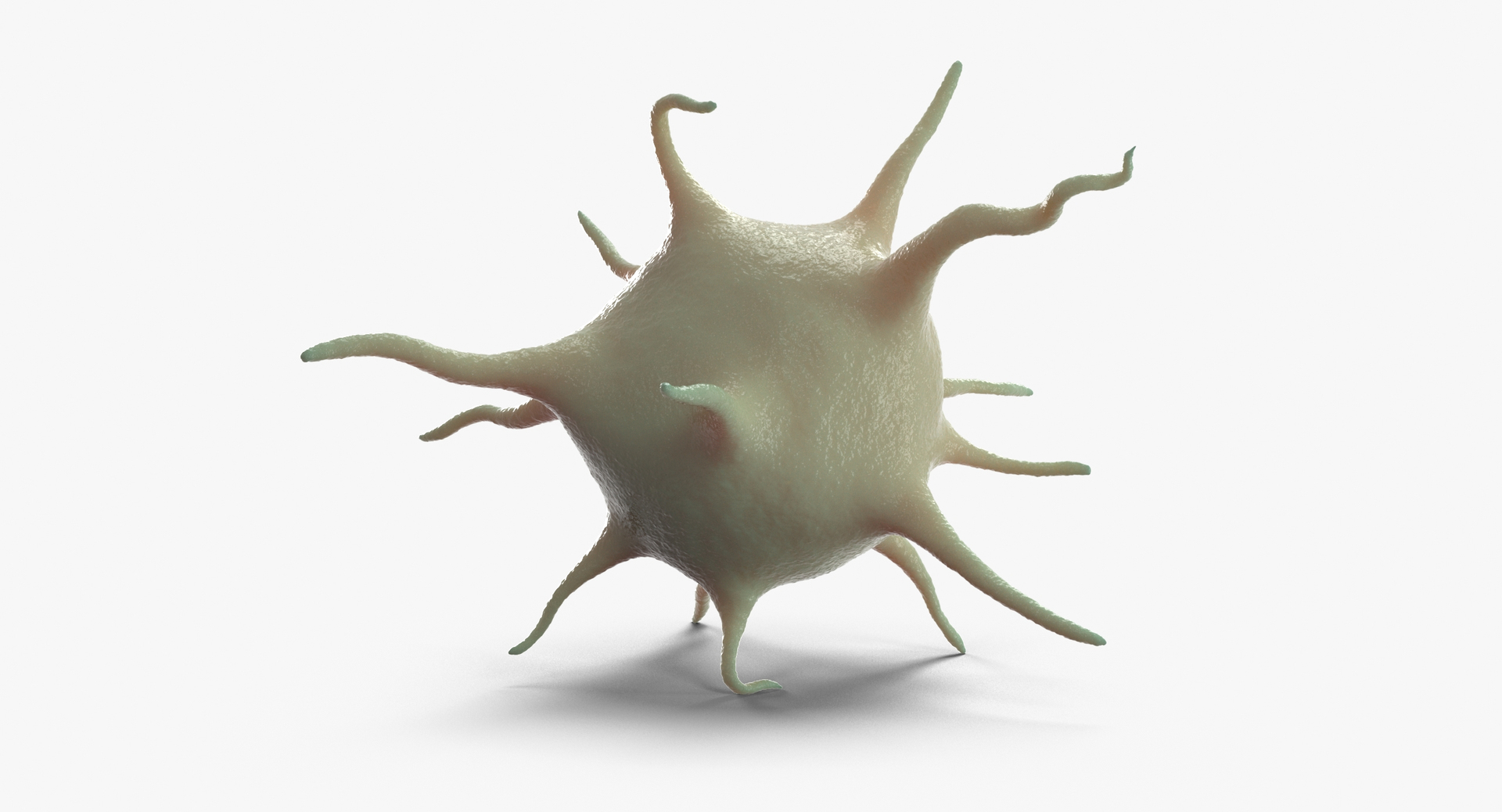 3D platelet thrombocyte 2 - TurboSquid 1396167