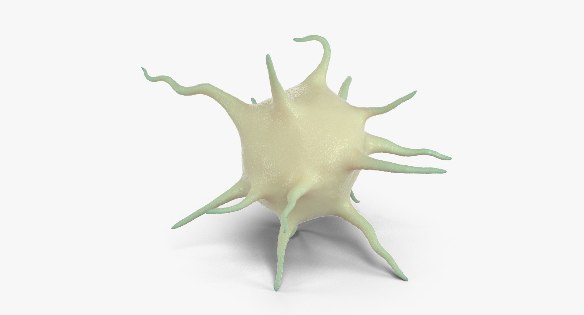 3D platelet thrombocyte 2 - TurboSquid 1396167