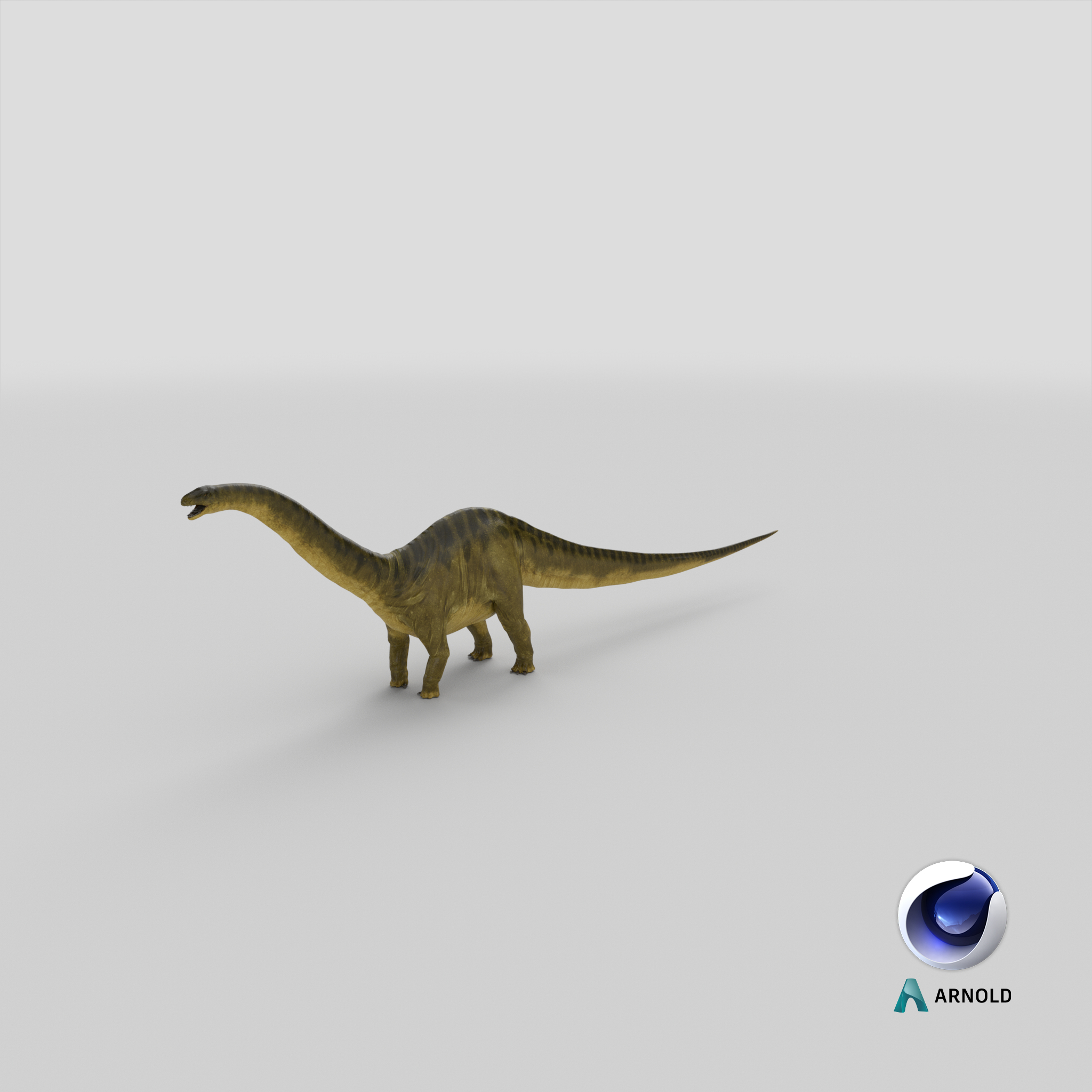 3d apatosaurus dinosaur model