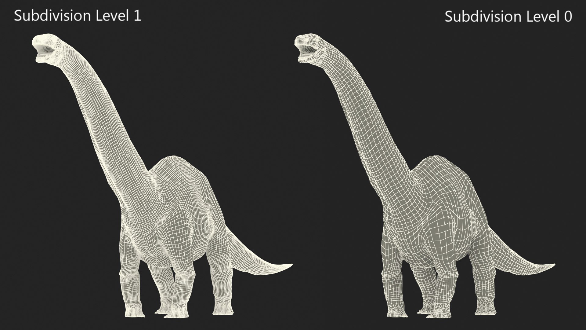 3d apatosaurus dinosaur model