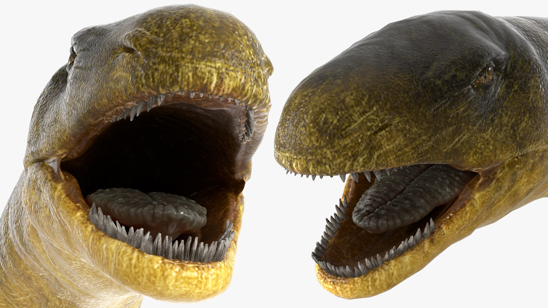 3d apatosaurus dinosaur model