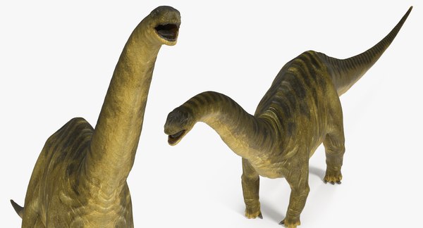 3d apatosaurus dinosaur model