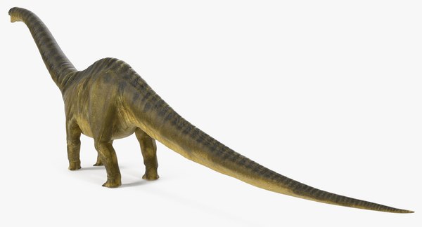 3d apatosaurus dinosaur model