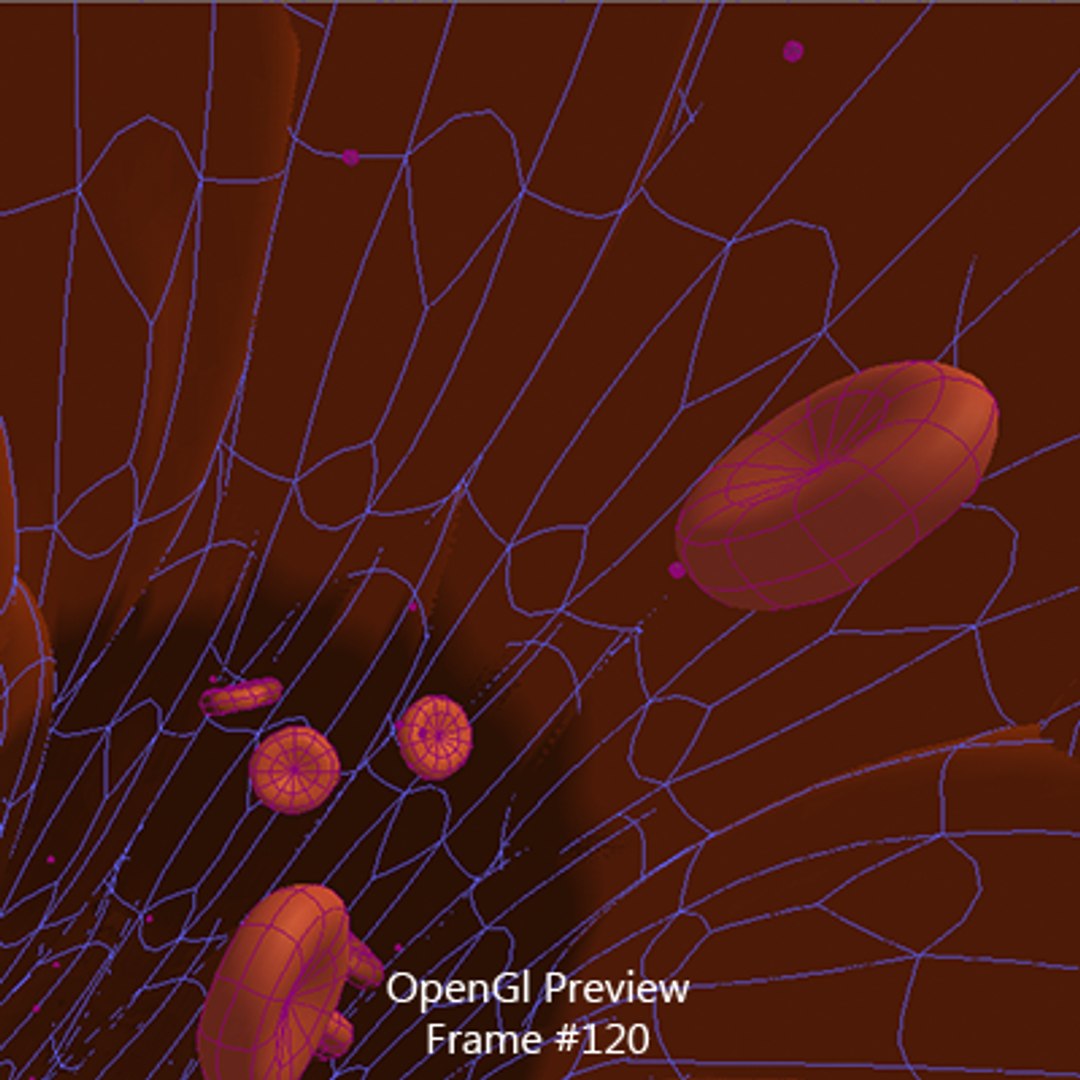 3ds loop blood flow vessel