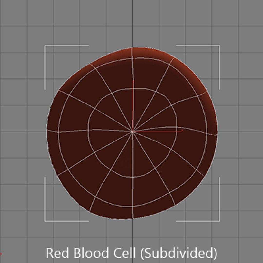 3ds loop blood flow vessel