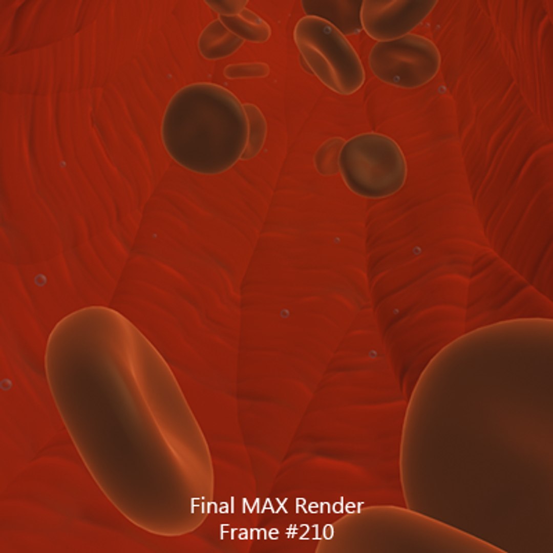 3ds loop blood flow vessel