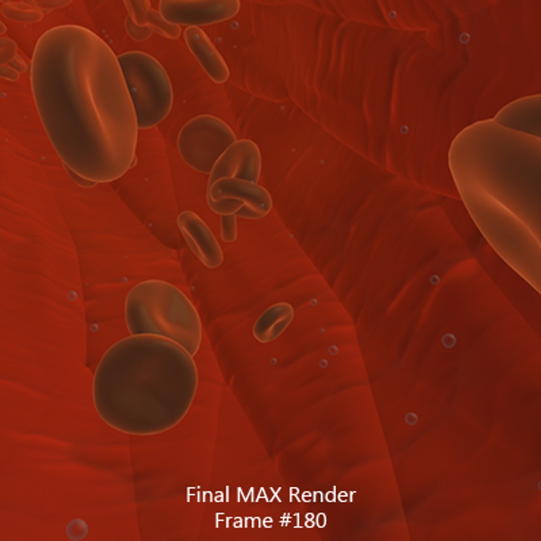 3ds loop blood flow vessel