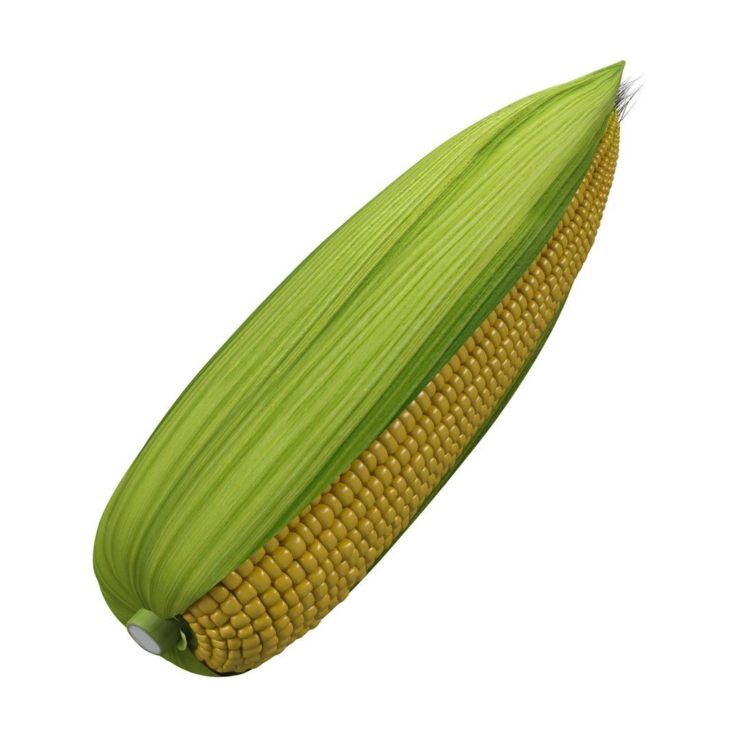 max corn plant field