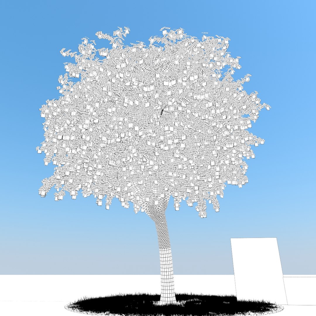 realistic maple tree 3d model