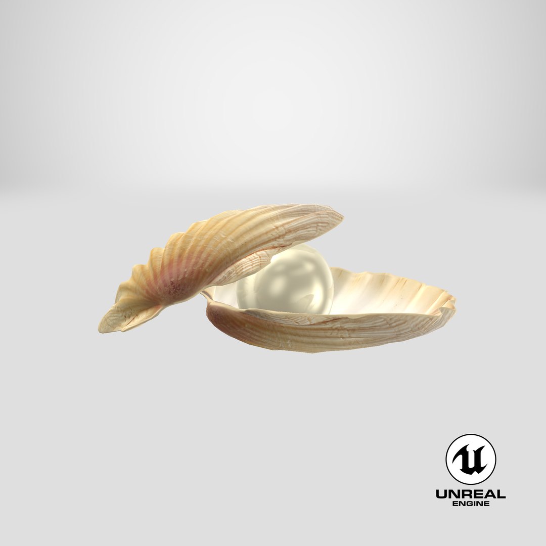 Pearl shell 3D model - TurboSquid 1242106