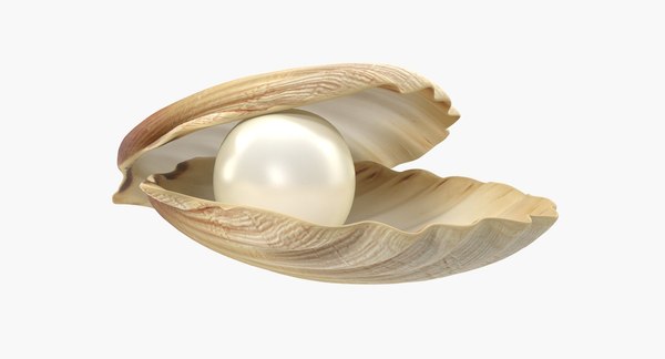 Pearl shell 3D model - TurboSquid 1242106