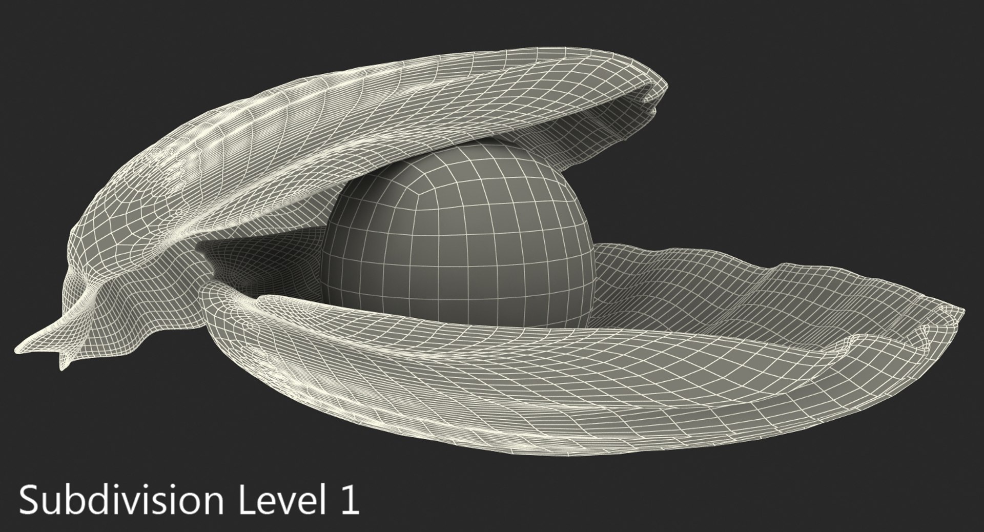 Pearl Shell 3D Model - TurboSquid 1242106