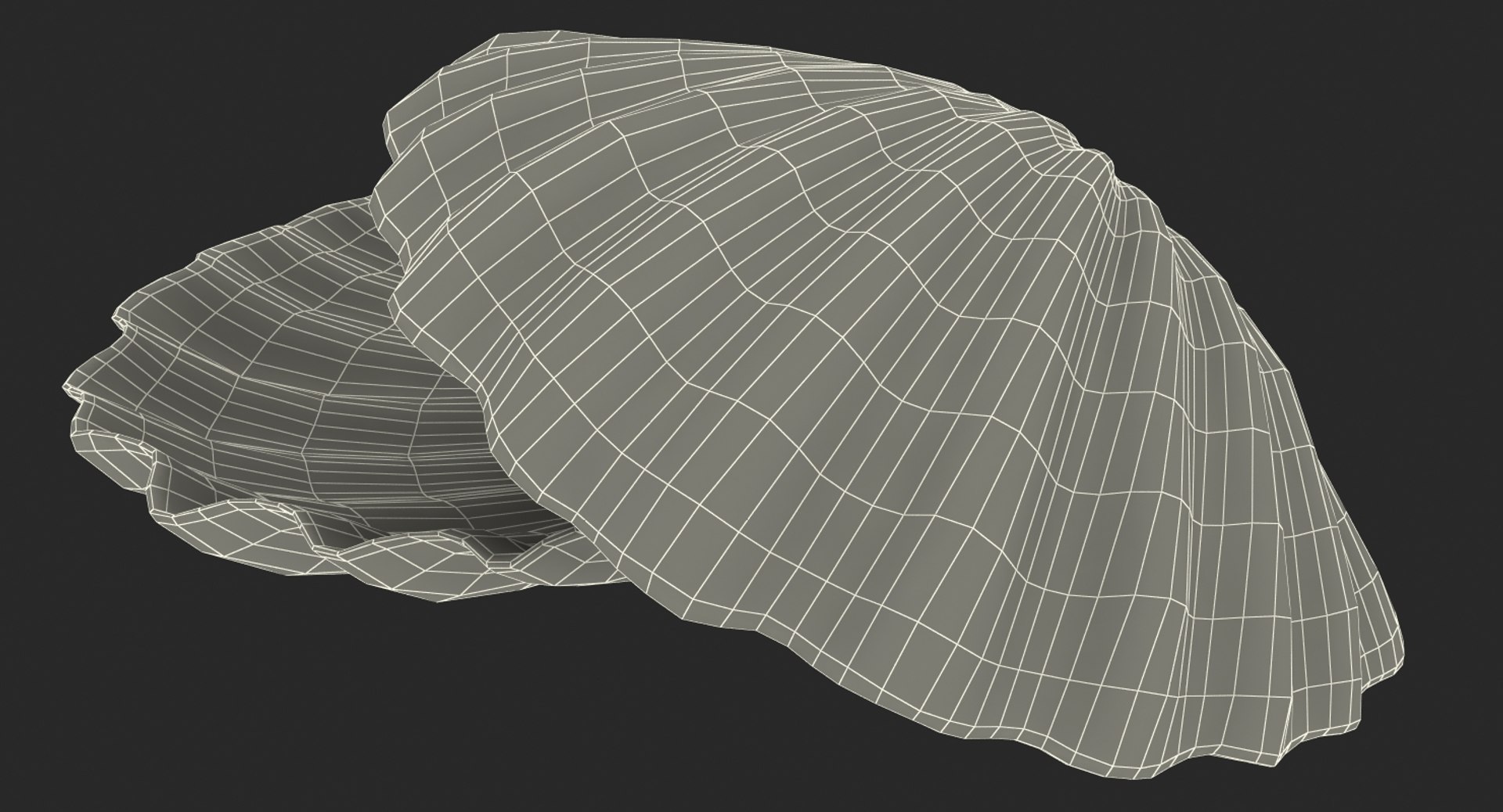 Pearl Shell 3D Model - TurboSquid 1242106