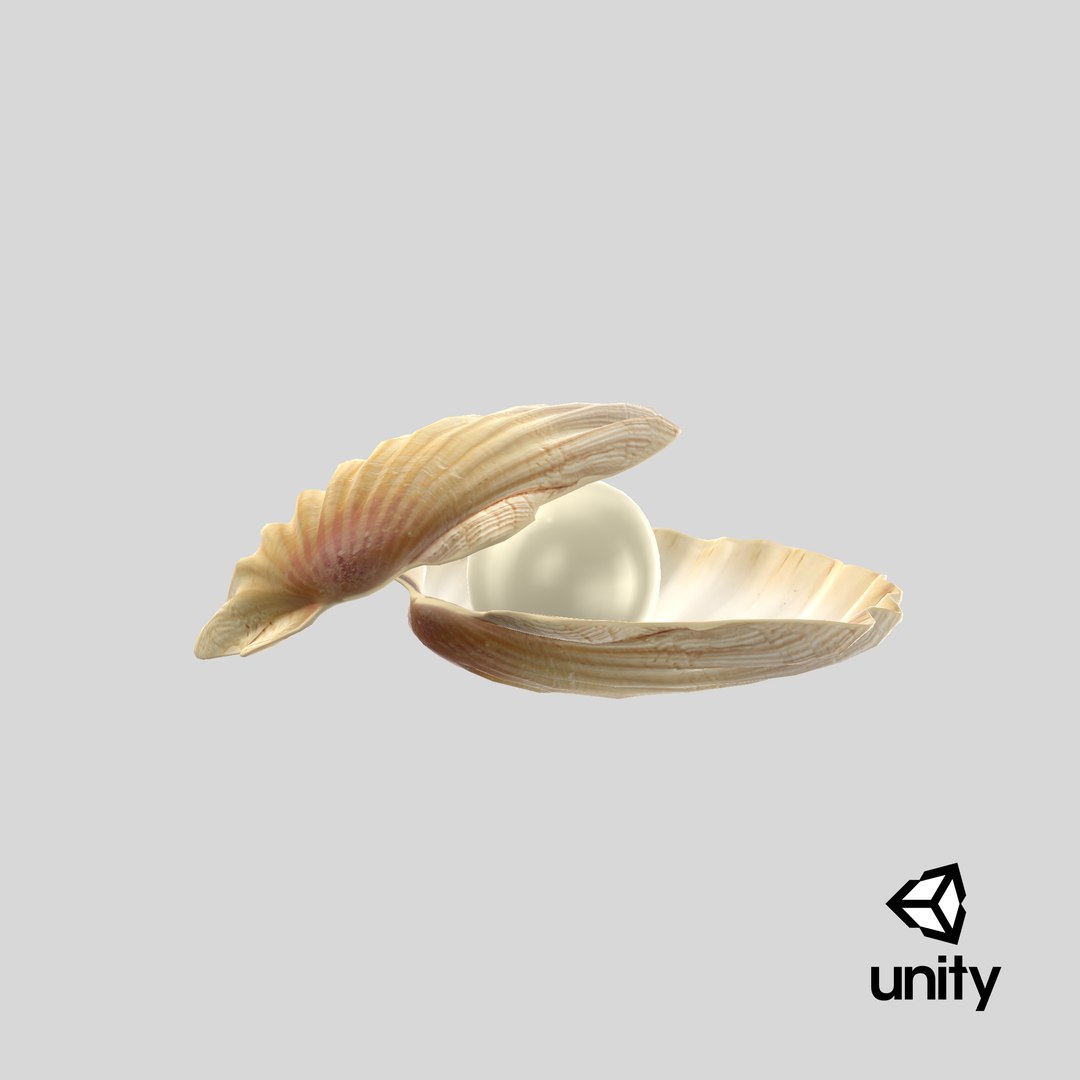 Pearl shell 3D model - TurboSquid 1242106