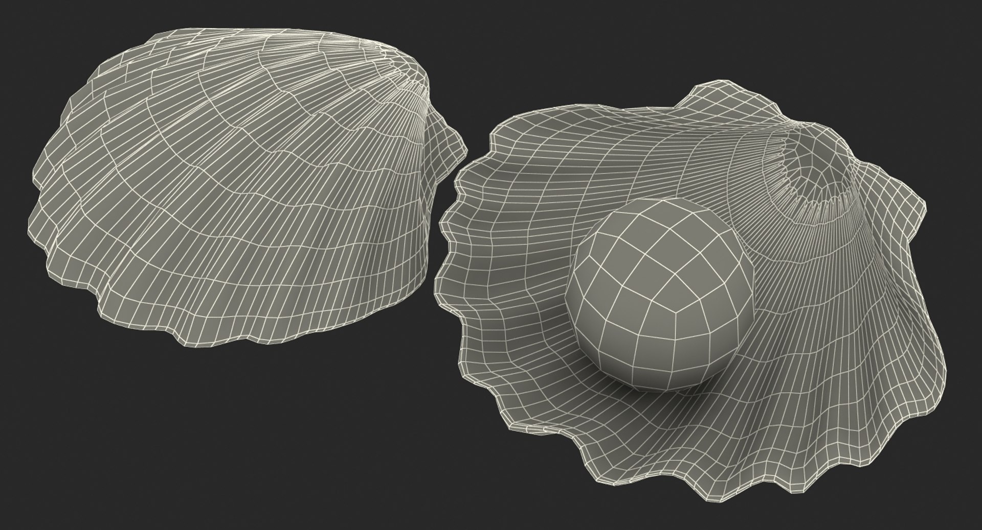 Pearl Shell 3D Model - TurboSquid 1242106