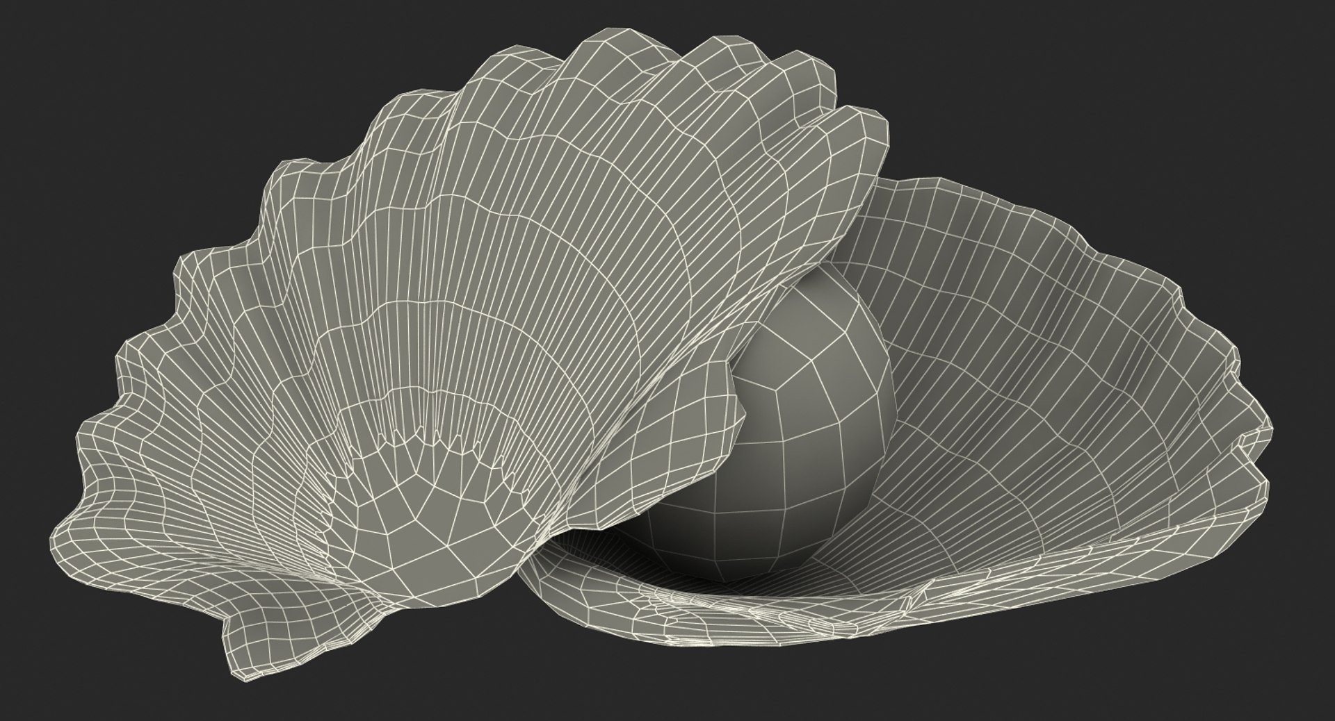Pearl Shell 3D Model - TurboSquid 1242106
