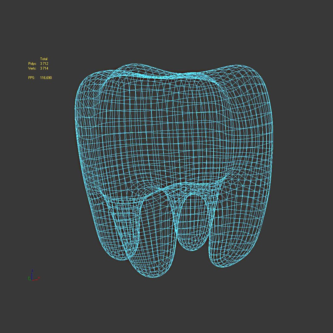 3D Tooth Dental Medicine - TurboSquid 1343366