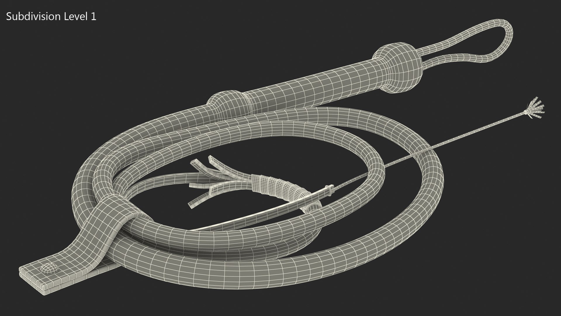 3D Cowboy Black Whip with Holster model - TurboSquid 2099499