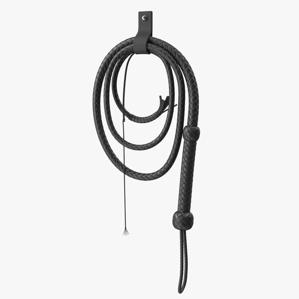 modelo 3d Látigo Vaquero Negro con Funda - TurboSquid 2099499