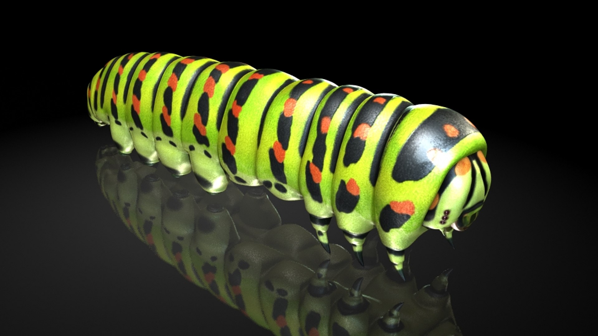 3D Larva Butterfly - TurboSquid 1318894