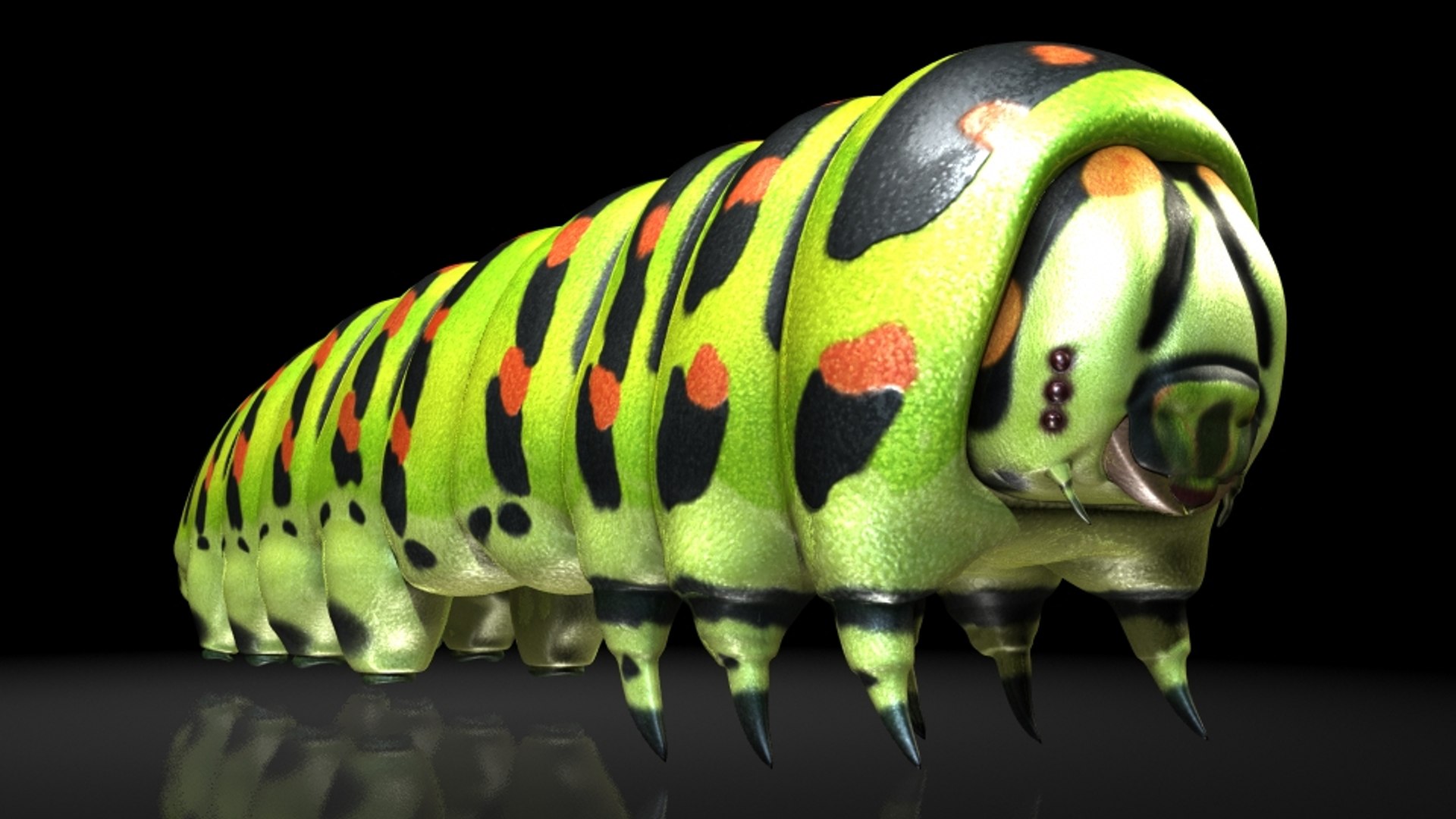 3D Larva Butterfly - TurboSquid 1318894