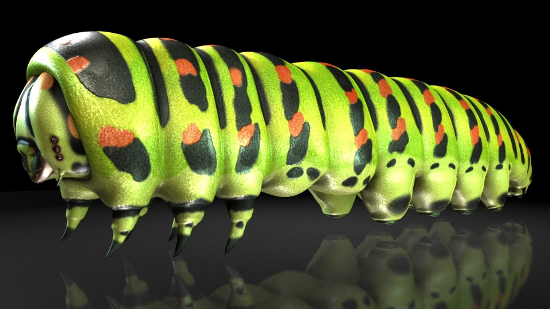 3D Larva Butterfly - TurboSquid 1318894