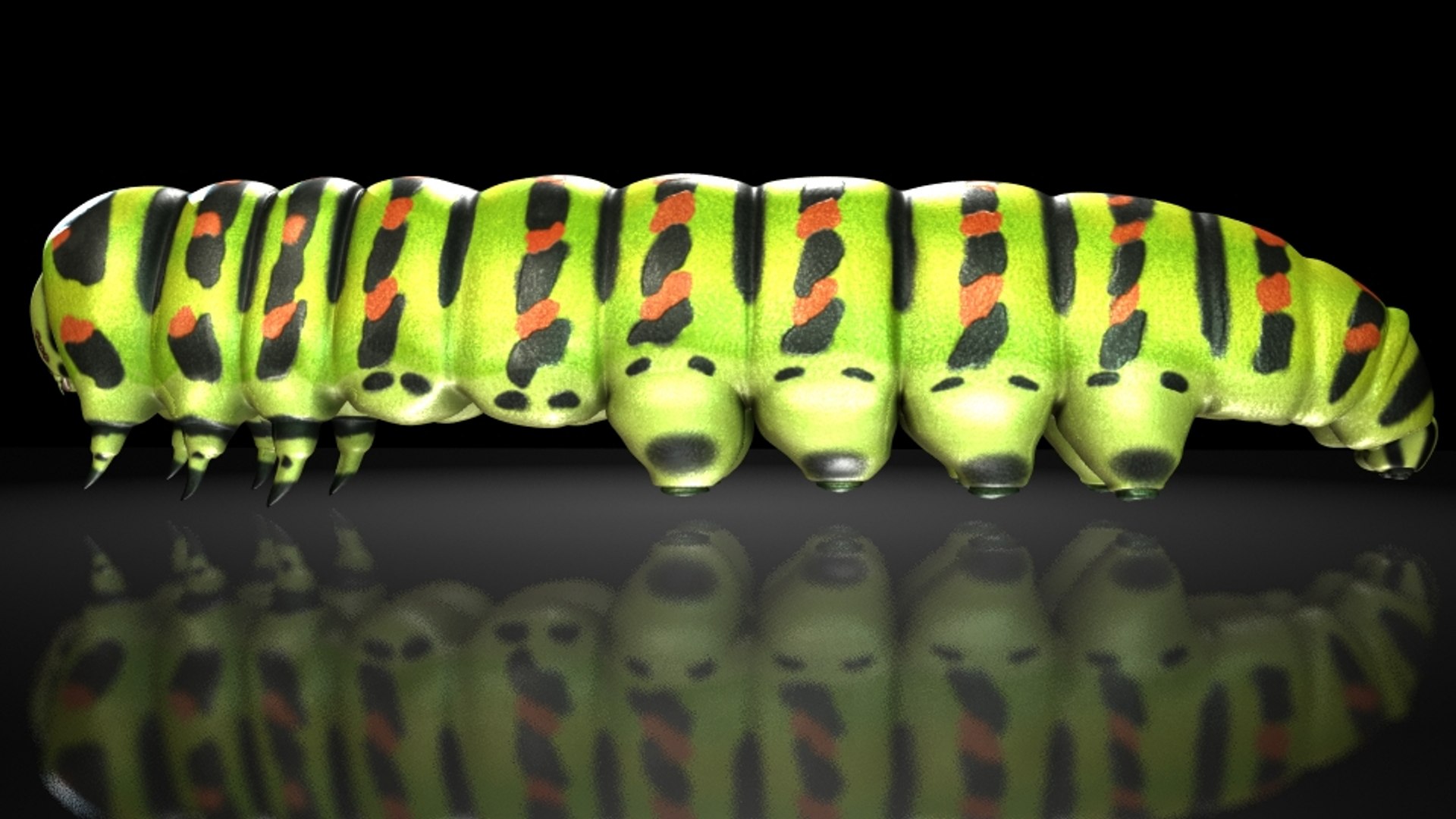 3D Larva Butterfly - TurboSquid 1318894