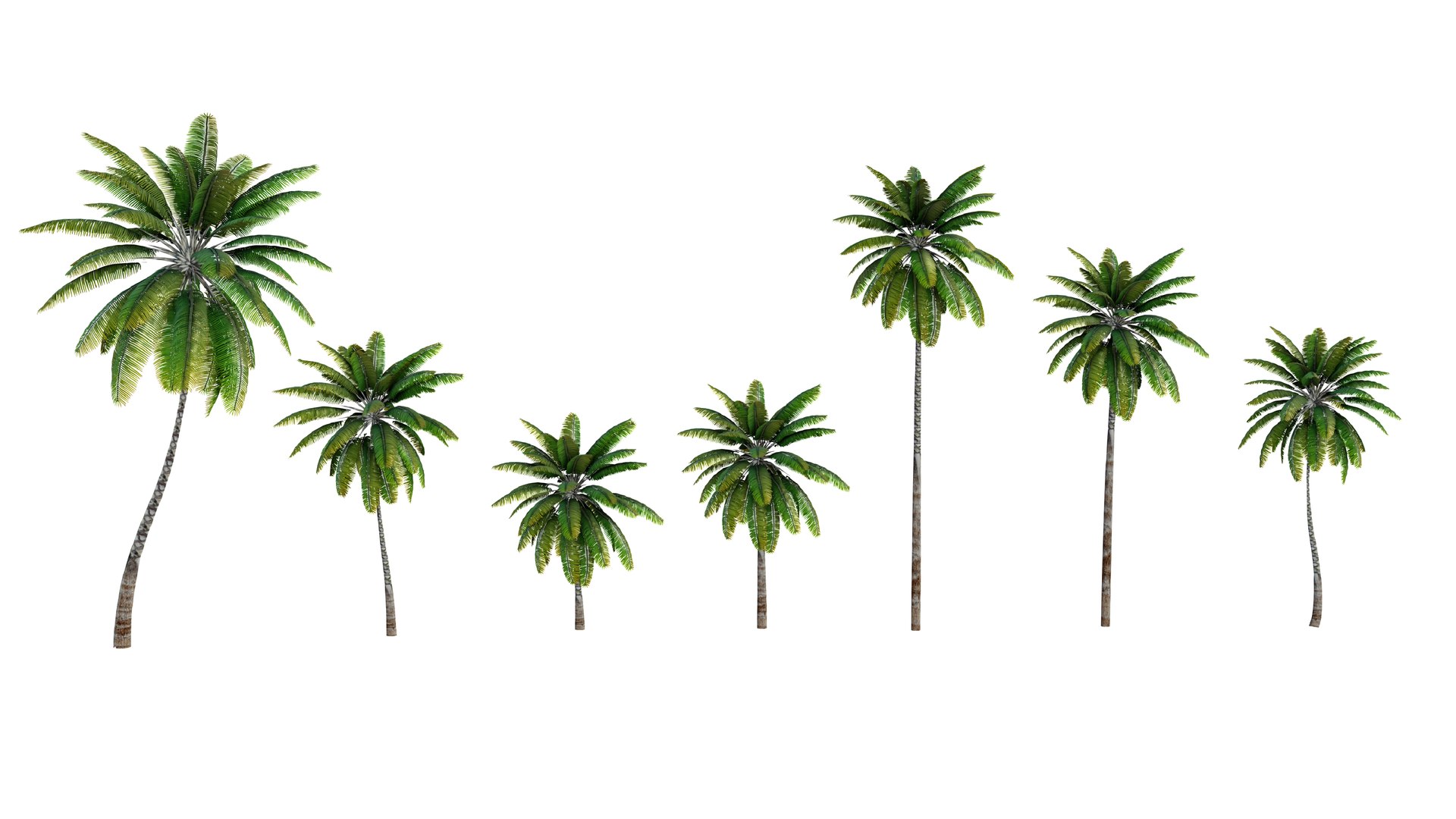 3D Ultimate Tropical Trees - TurboSquid 1567514