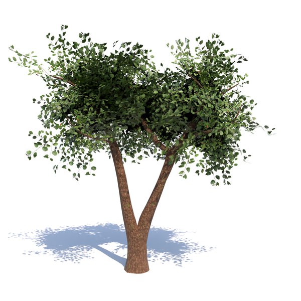 modelo 3d Big tree - TurboSquid 2100175