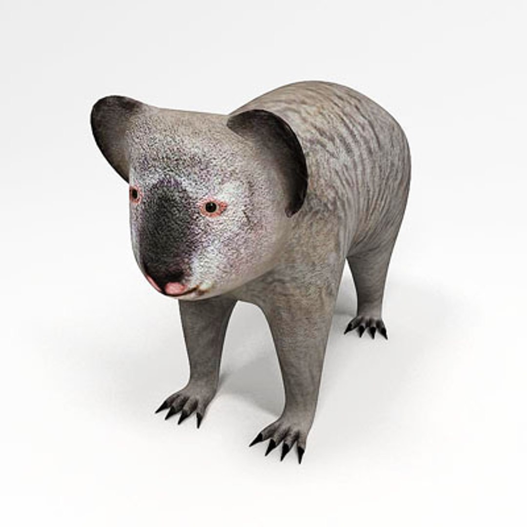 3d Model Of Koala Animals