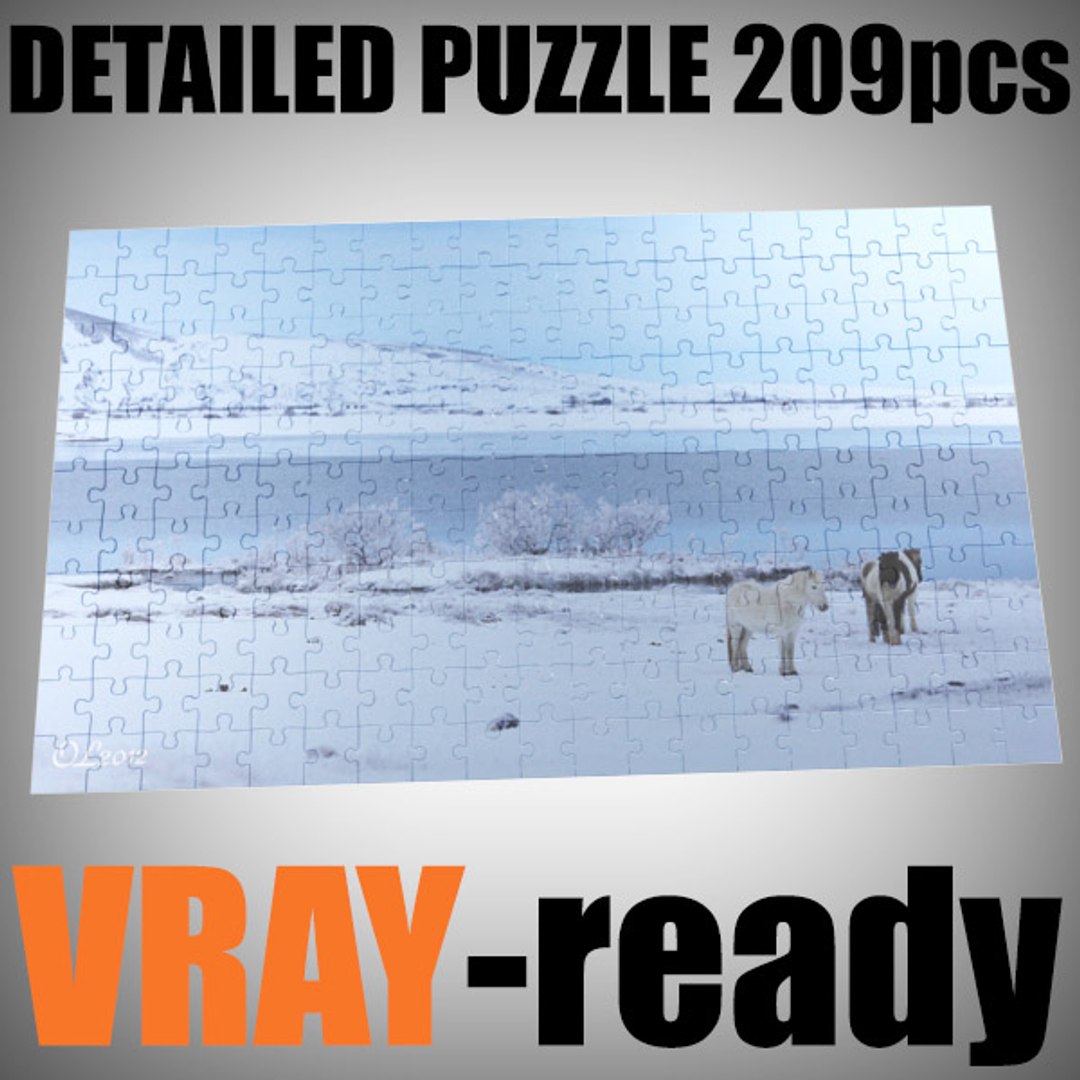 max puzzle 209 pieces