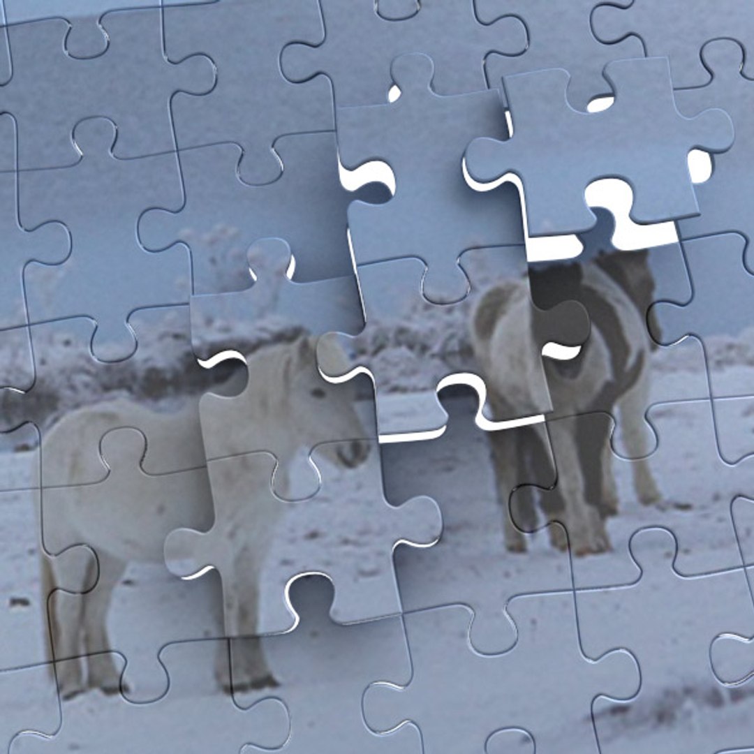 max puzzle 209 pieces