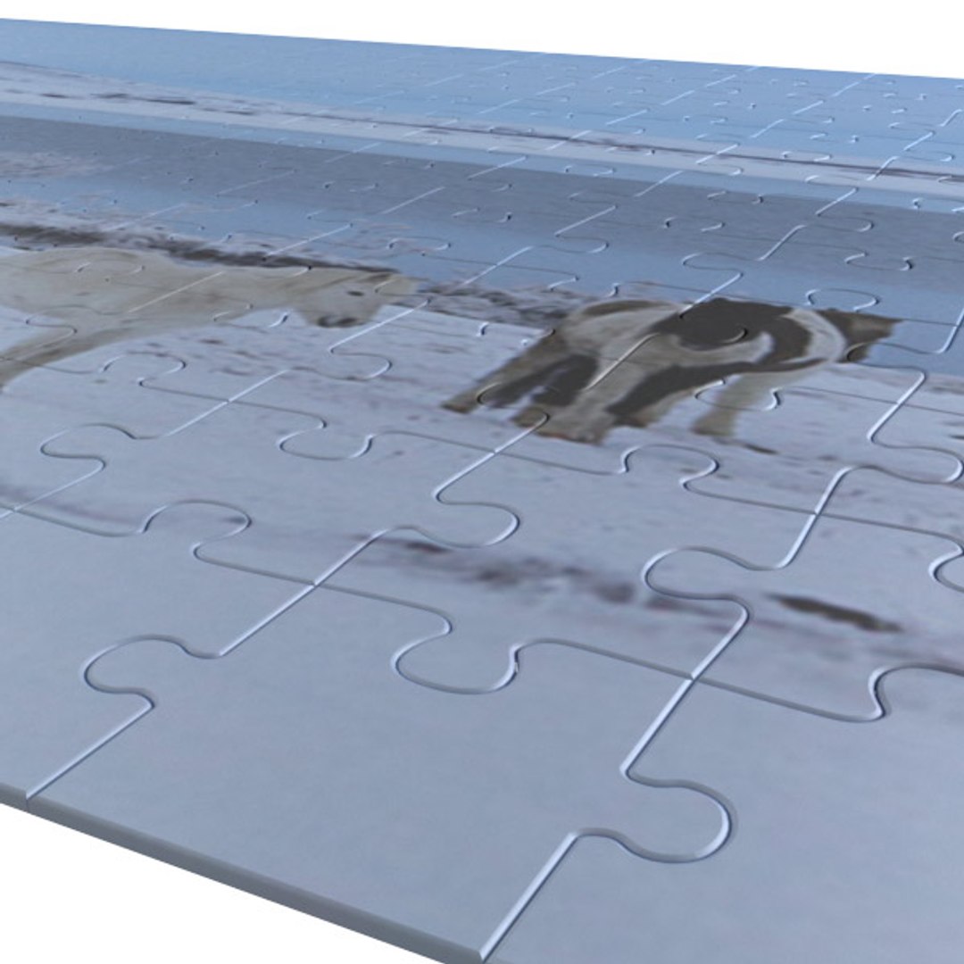 max puzzle 209 pieces