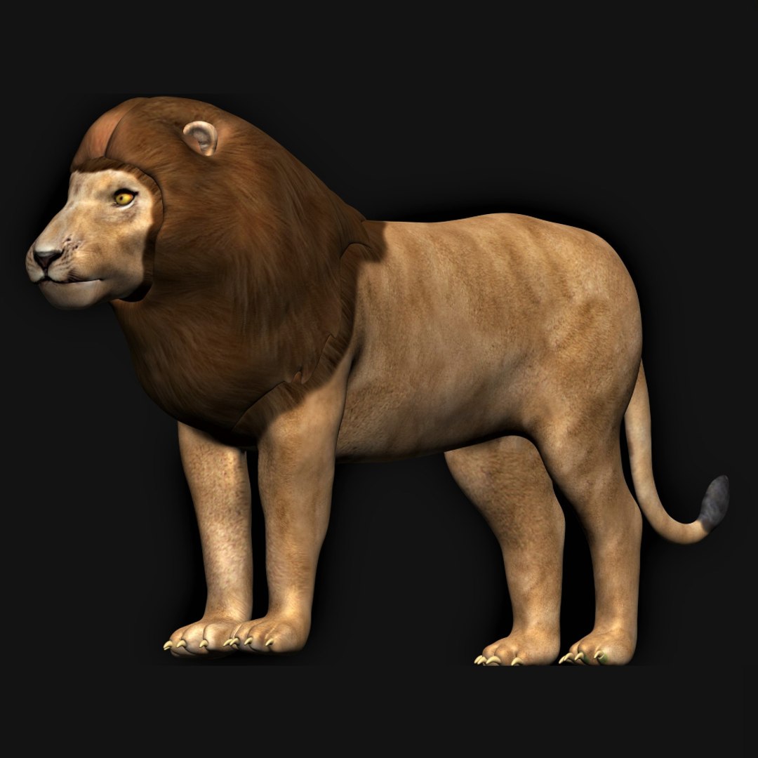 3D Lion Model - TurboSquid 1694844