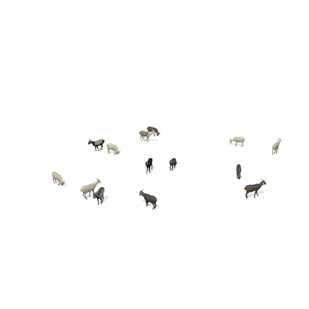 Group herd goats walking 3D model - TurboSquid 1372074