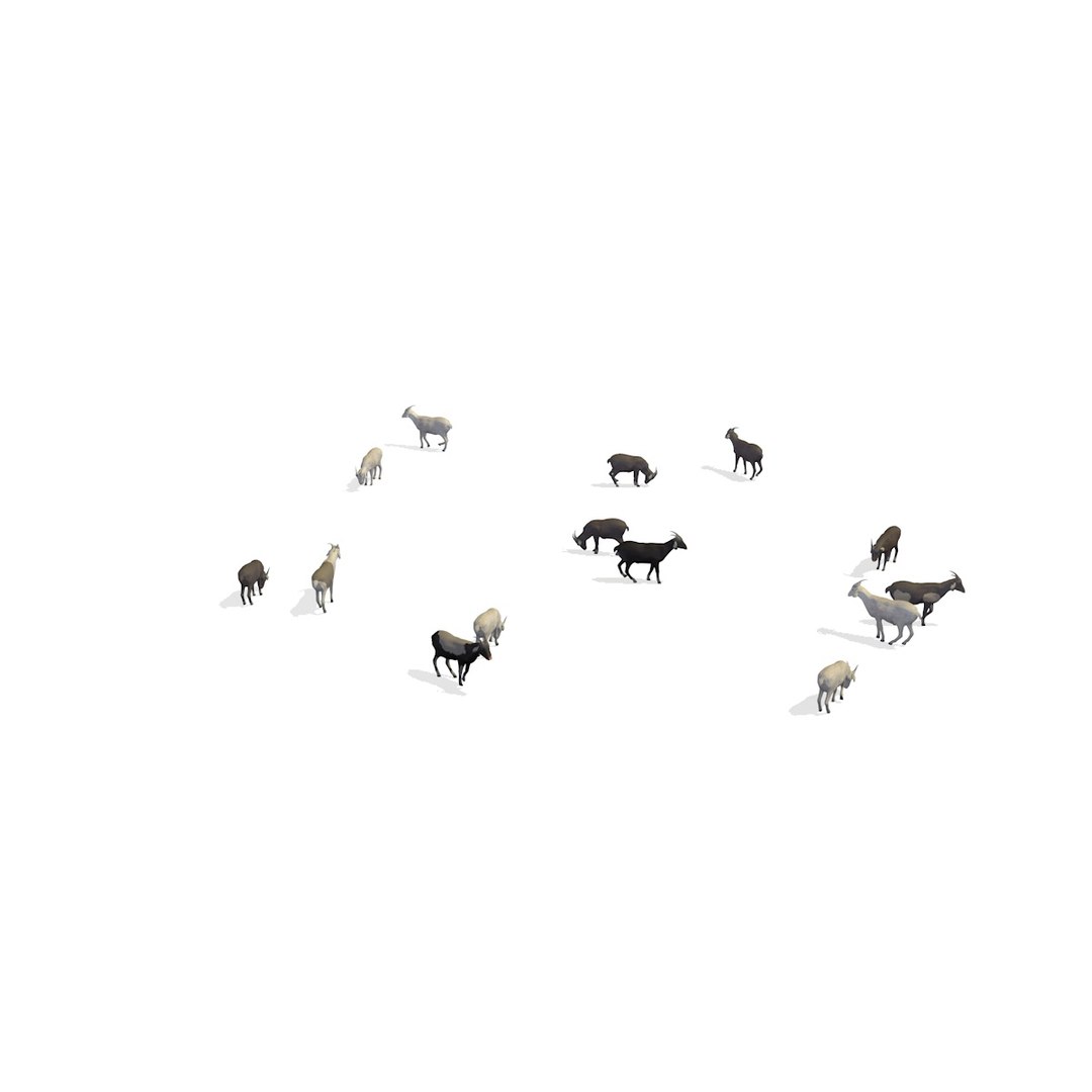Group herd goats walking 3D model - TurboSquid 1372074