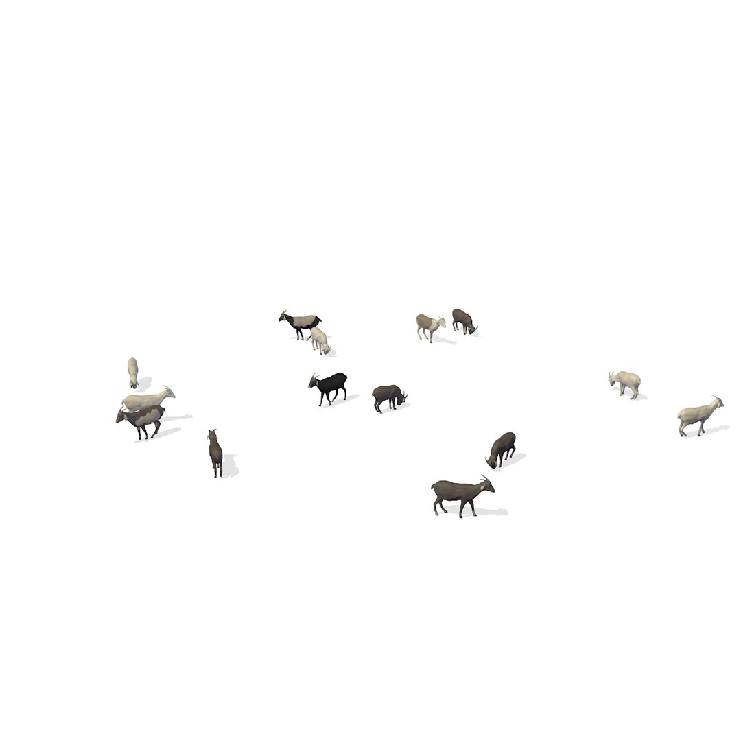 Group herd goats walking 3D model - TurboSquid 1372074