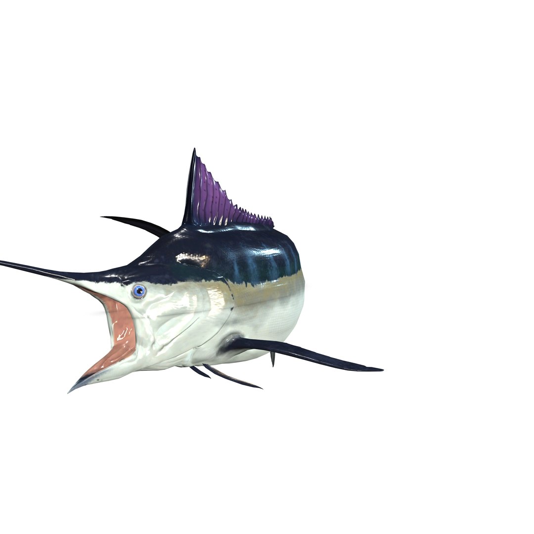 FISH SWORDFISH SEA OCEAN Model - TurboSquid 2216847