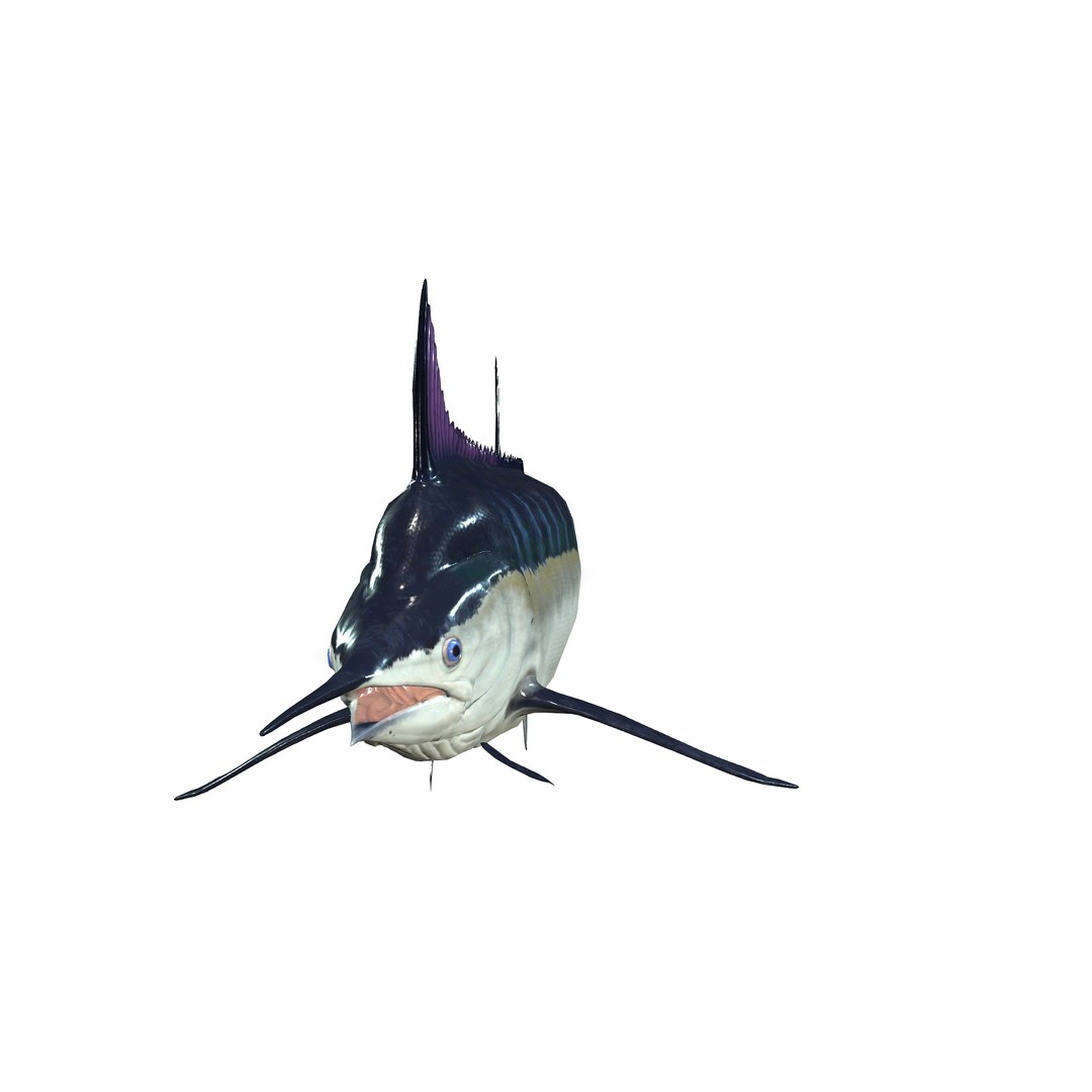 FISH SWORDFISH SEA OCEAN Model - TurboSquid 2216847