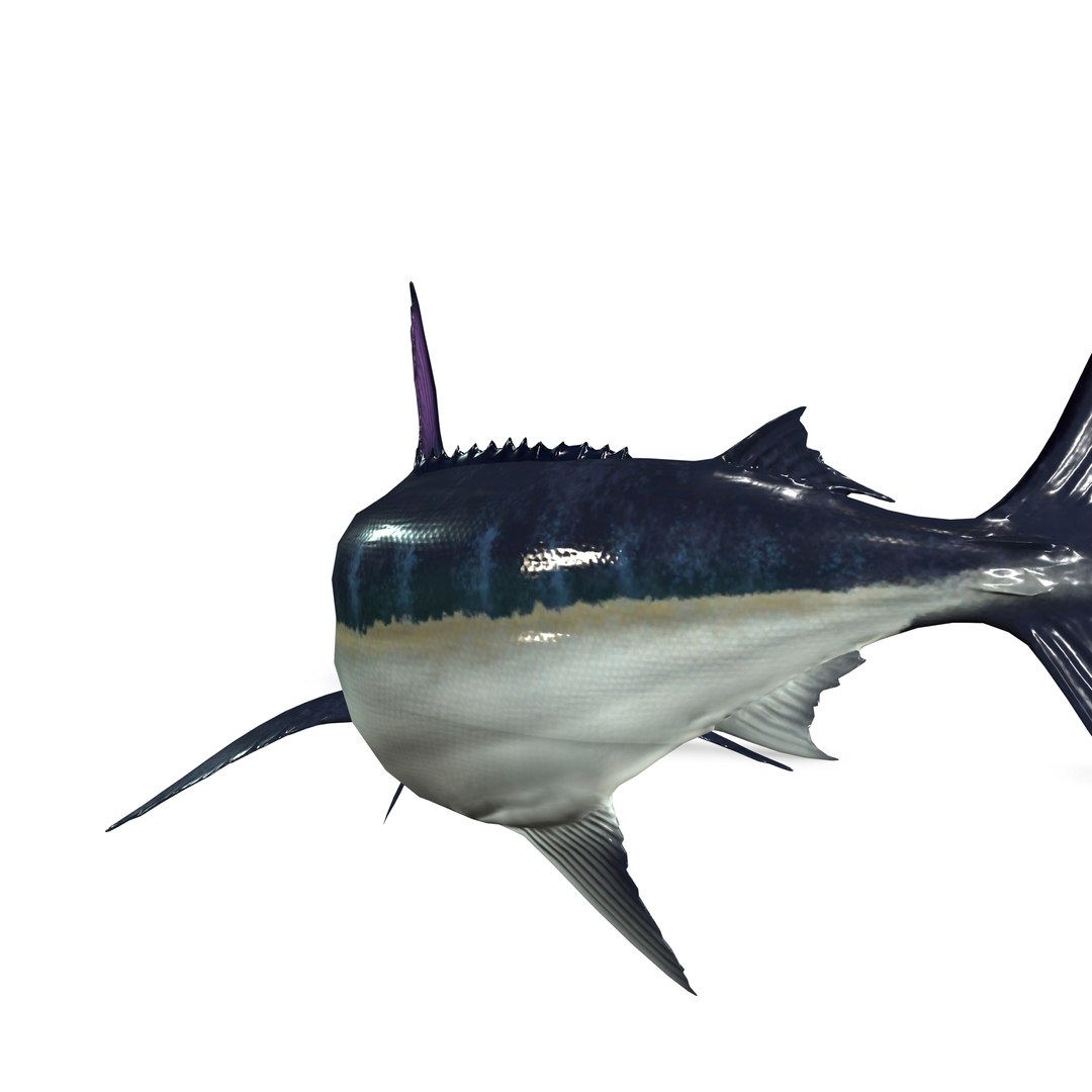 FISH SWORDFISH SEA OCEAN Model - TurboSquid 2216847