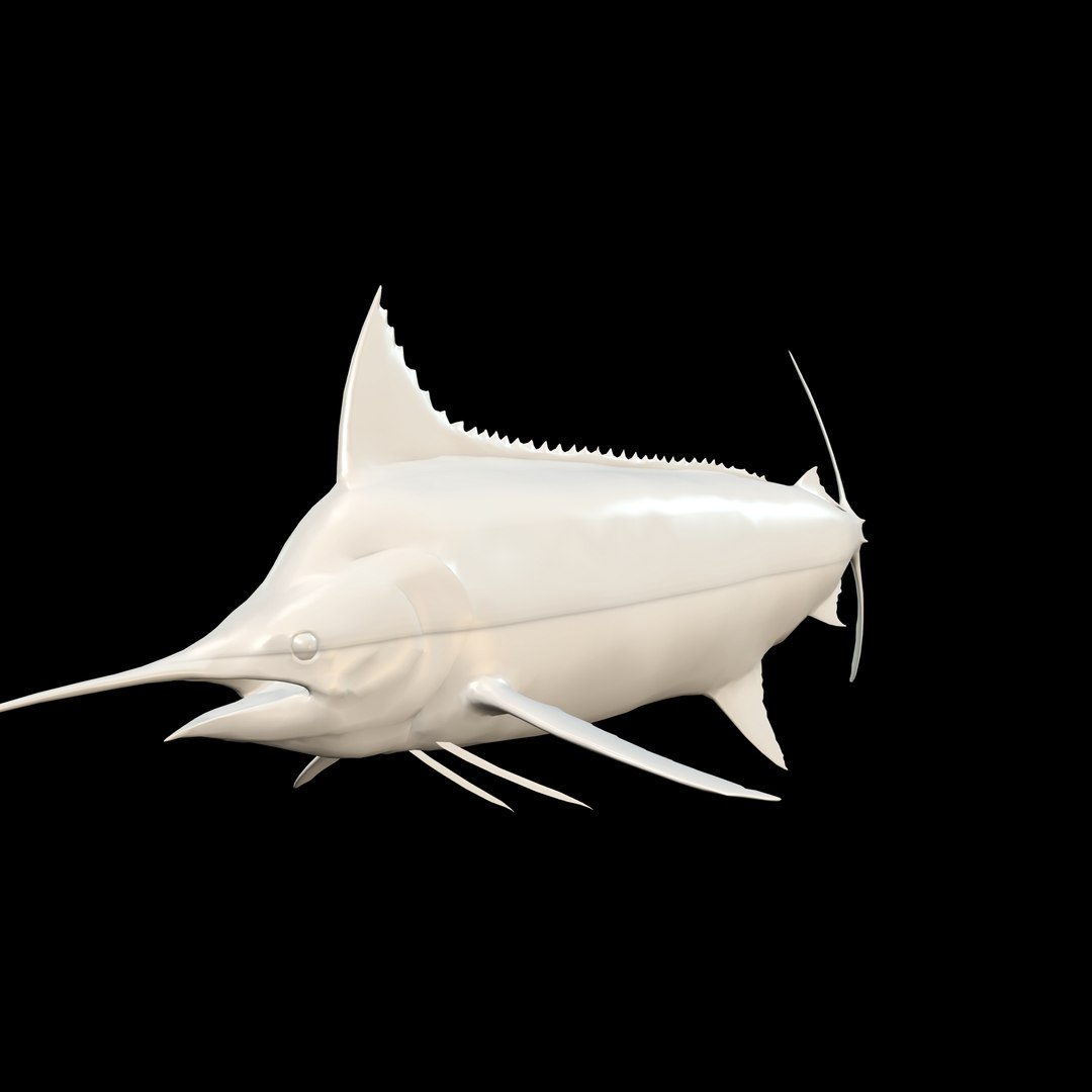 FISH SWORDFISH SEA OCEAN Model - TurboSquid 2216847