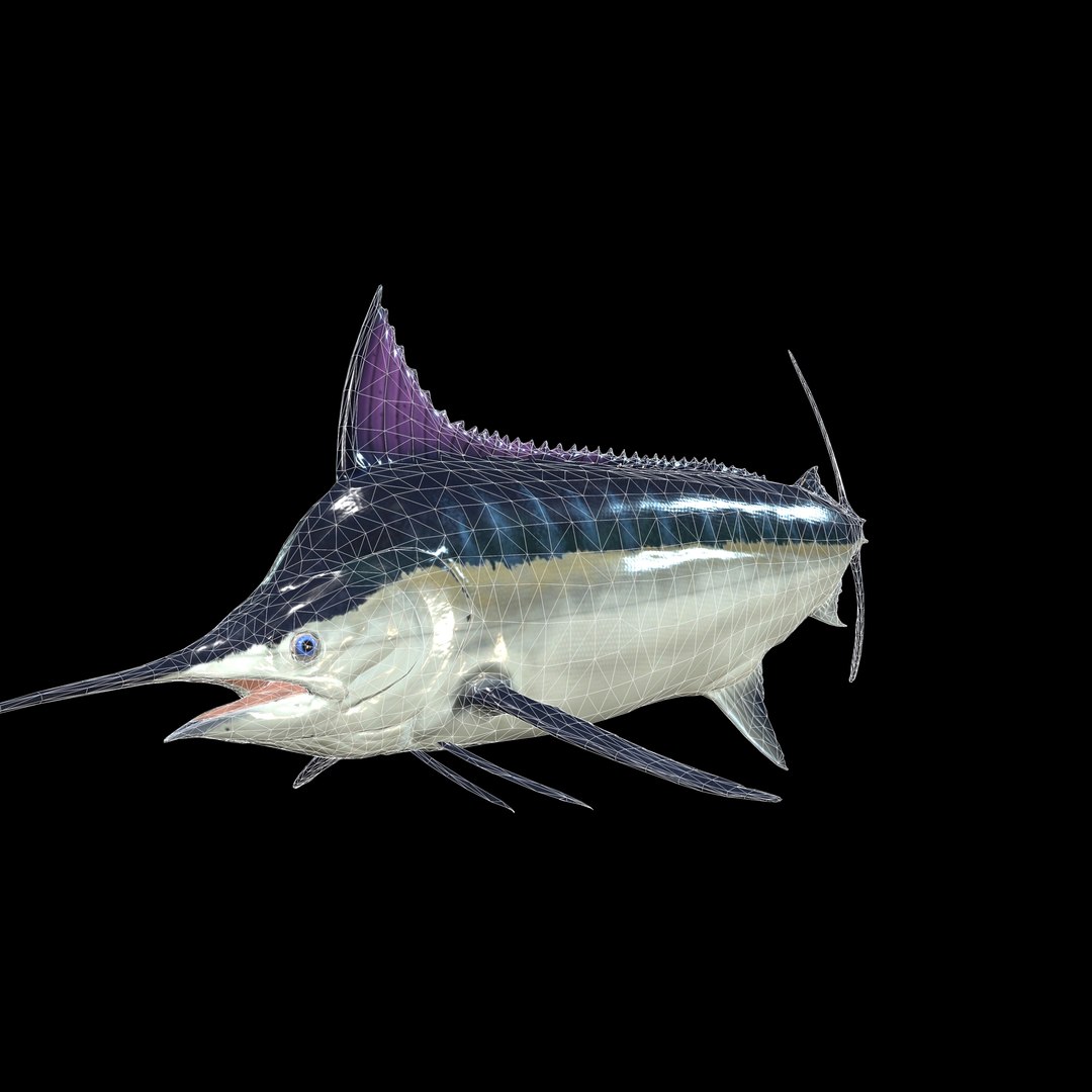 FISH SWORDFISH SEA OCEAN Model - TurboSquid 2216847