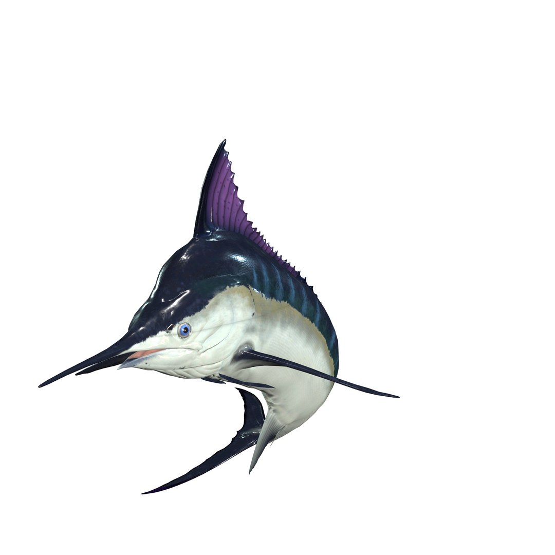 FISH SWORDFISH SEA OCEAN Model - TurboSquid 2216847