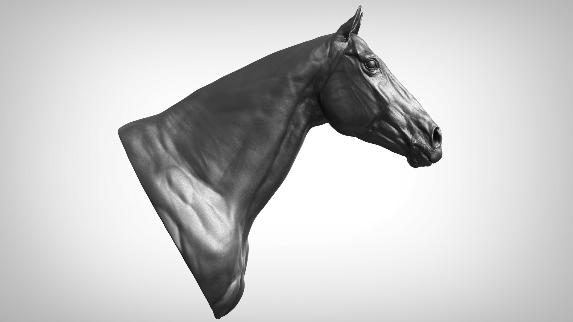 3D Thoroughbred Horse Head Realistic - TurboSquid 1424853