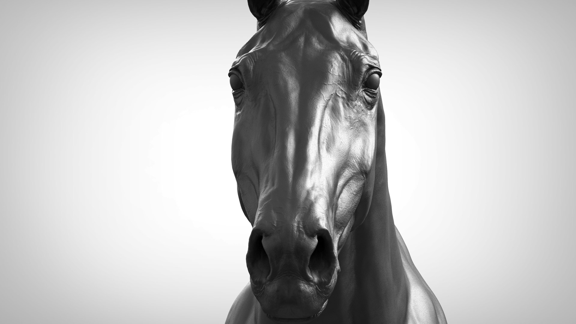 3D thoroughbred horse head realistic - TurboSquid 1424853