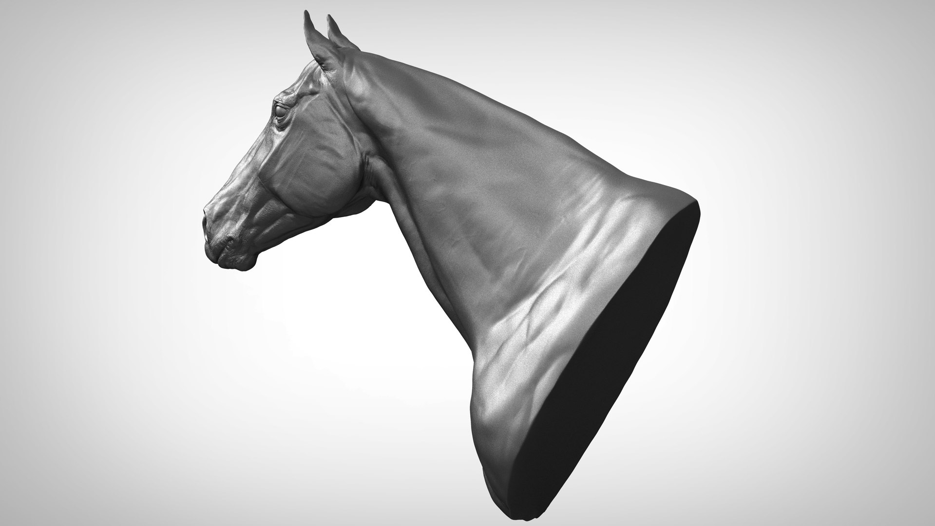 3D thoroughbred horse head realistic - TurboSquid 1424853